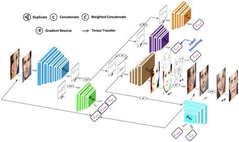 Age Invariant Model Aim For Face Recognition In The Wild Aim Extends Download Scientific
