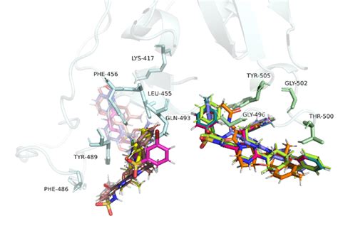 The Predicted Binding Modes Of The 10 Selected Candidates In The