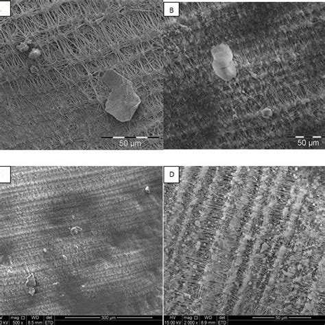 A Sem Micrographs Showing Different Particle Morphology Download