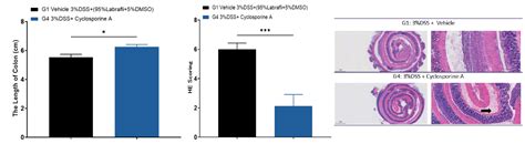 从病因到治疗药康炎症性肠病小鼠模型IBD助力科研 知乎