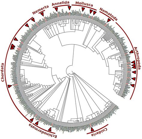 Transcriptome Sequencing Reveals That Species Diversity Is Predictable Rna Seq Blog