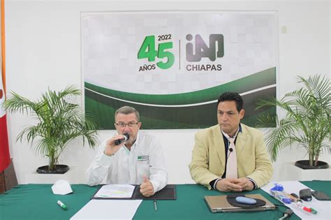 Iap Instituto De Administración Pública Del Estado De Chiapas A C