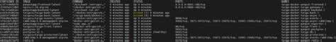 I Cannot Deploy Docker Taiga Back 1 Via Docker Compose Self Hosted