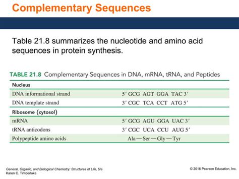Ch 21 6 Genetic Code Protein Synthesis 5th Ed Pptx
