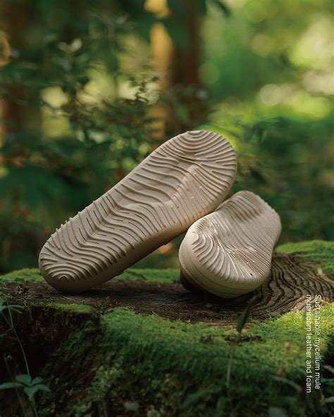 Project Root On Behance