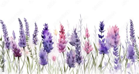 Seamless Border Of Tender Watercolor Lavender Flowers Border On