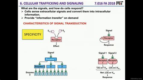 【introductory biology】lecture 20 cell signaling 1 overview 细胞信号1