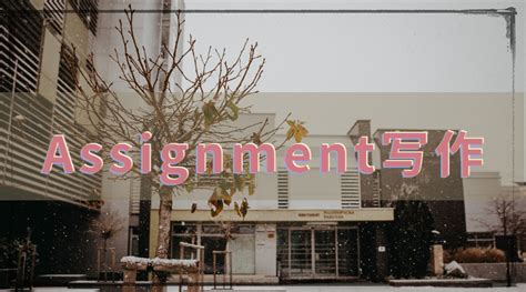 如何为assignment写作进行构思？