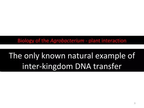Molecular Biology Of Agrobacterium Infection Ppt