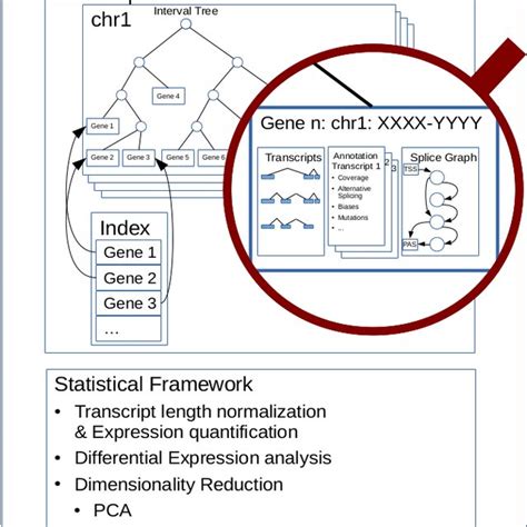 The Internal Data Structure Of The Isotools Framework Download