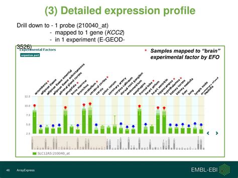 Ppt Arrayexpress And Gene Expression Atlas Powerpoint Presentation