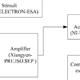 A Typical Setup Of The SEP Extraction System Download Scientific Diagram