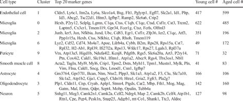 Cell Clusters Resolved By Louvain Clustering Download Scientific Diagram