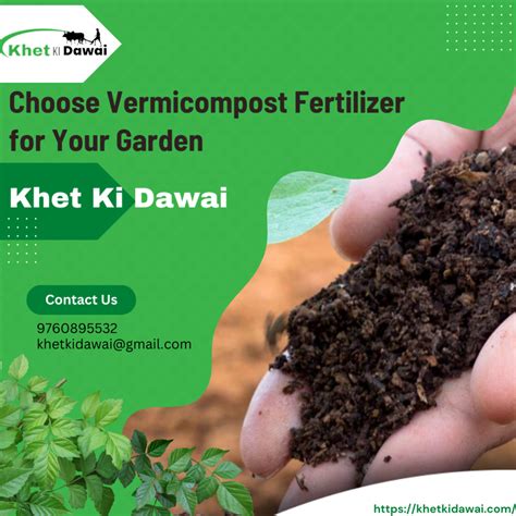 Gracia Insecticide Uses Price Technical Name Dose