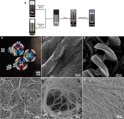 Pathway Complexity In Fibre Assembly From Liquid Crystals To Hyper Helical Gelmorphs Chemical