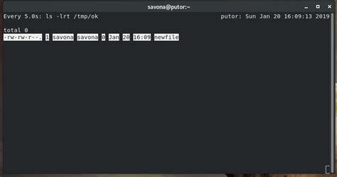 Watch Command Monitor Command Output In Linux Putorius