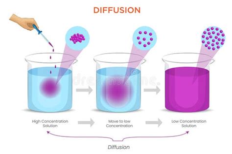particle diffusion stock illustrations 661 particle diffusion stock