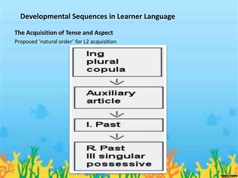 developmental sequences in learner language pptx education