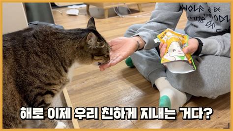 해로한테 간식 없다고 처맞았다 Youtube