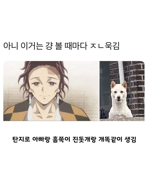 이거때문에 감동 다 날라감 영화 Tv 에펨코리아