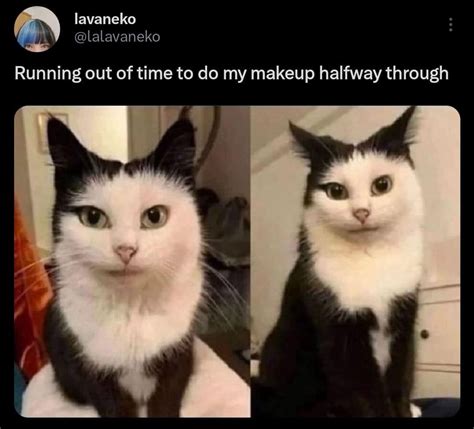 Im More Concerned The Foundation Not Matching Album On Imgur