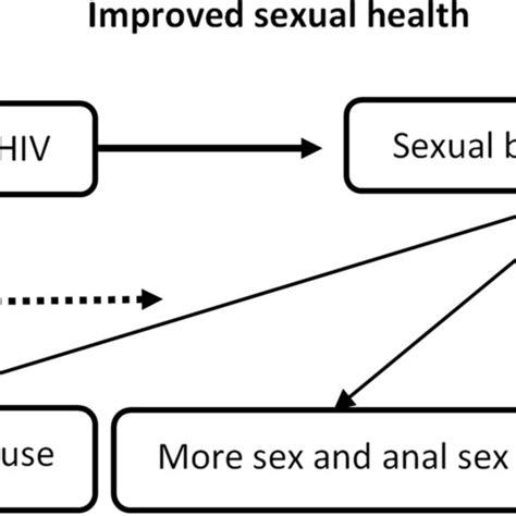 Explanatory Framework Of Impact Of Prep On The Sexual Lives Of Msm