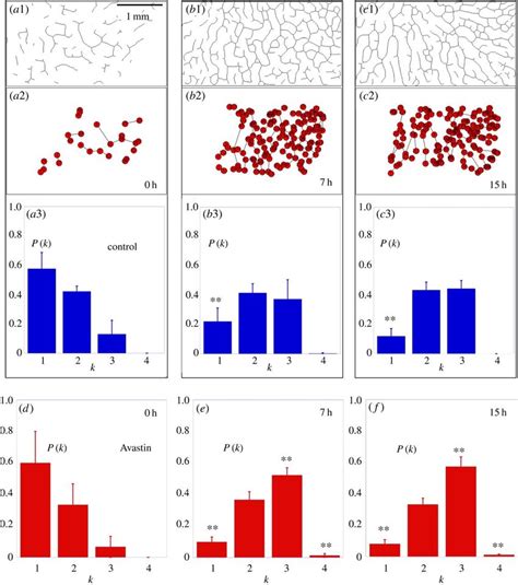 The Codification Process Of Adjacent Matrix A1c1 Show The Skeleton