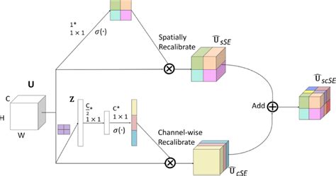 A Scse Architecture Model Composed Of Cse And Sse Download