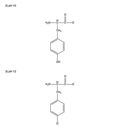 4below Is The Structure Of Amino Acid Tyrosine Pka