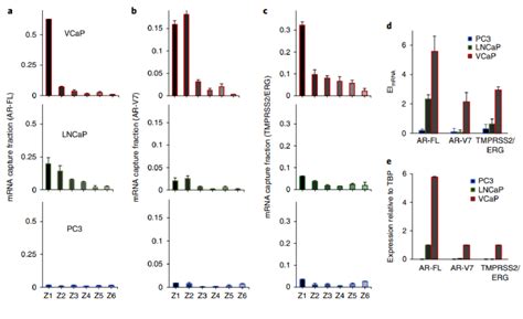 Single Cell Mrna Cytometry Via Sequence Specific Nanoparticle