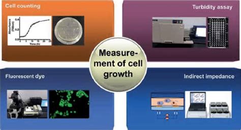 The Main Methods For Cell Growth Measurement Download Scientific Diagram