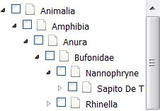 C Multilevel Listbox Stack Overflow