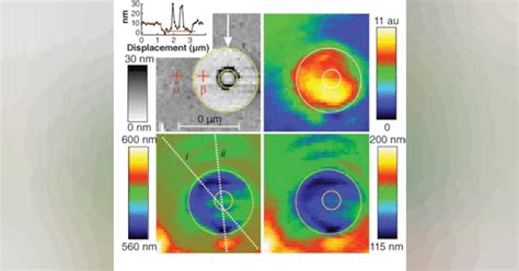 Nanophotonic Imaging Nanoantenna Captures Plasmon Spectrum Images