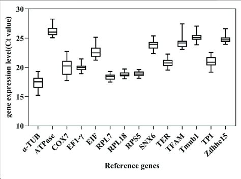 Cycle Threshold Ct Values Of 14 Candidate Reference Genes Across