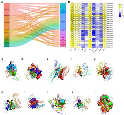 Molecular Docking Between Active Ingredients And Key Targets A