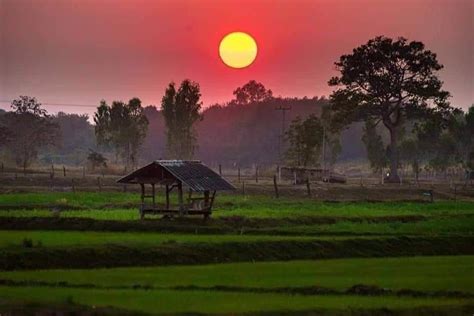 คนรักบ้าน ชอบบรรยากาศแบบนี้ที่ต้องการ พิกัดของใช้ในบ้าน Facebook