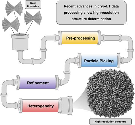 Advances In Cryo ET Data Processing Meeting The Demands Of Visual Proteomics Bartesaghi Lab