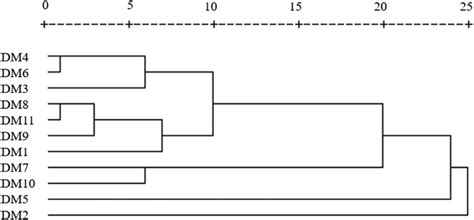 Dms Dendrogram Using Average Linkage Between Groups Decision Makers