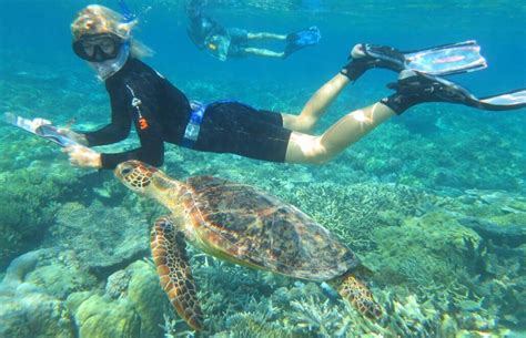 Save The Great Barrier Reef In Australia How Can You Help