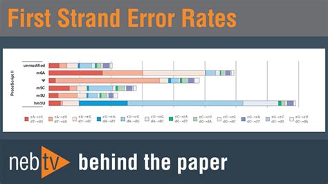 Rna Modification Neb