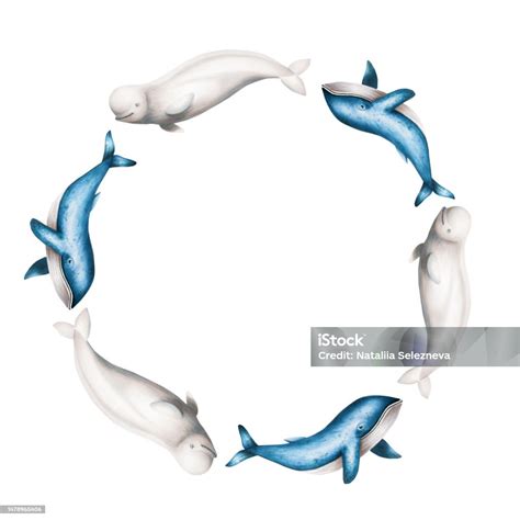 푸른 고래와 벨루가가 흰색 배경에 격리된 수채화 프레임 손으로 그림 현실적인 북극과 남극 해양 포유류 디자이너 장식 엽서 포장지