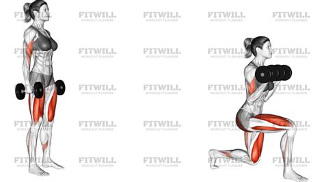 Dumbbell Alternating Seated Bicep Curl On Exercise Ball Guide Techniques Benefits How To