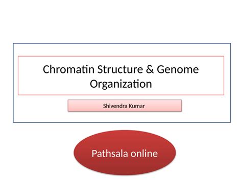 PDF Chromatin Structure