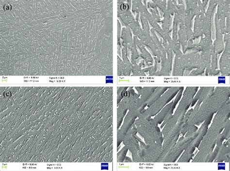 Sem Micrographs Of A B Bulk And C D Surface Of The As Printed