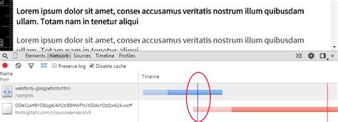 Loading Webfonts With High Performance On Responsive Websites