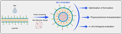Design Optimization Characterization And In Vitro Evaluation Of Metformin Loaded Liposomes