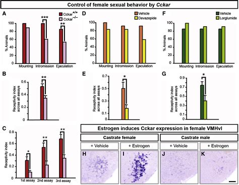 Modular Genetic Control Of Sexually Dimorphic Behaviors Cell