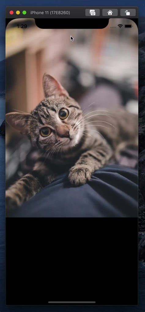 How Do I Prevent Uiscrollview From Zooming In A Ton When Activating An