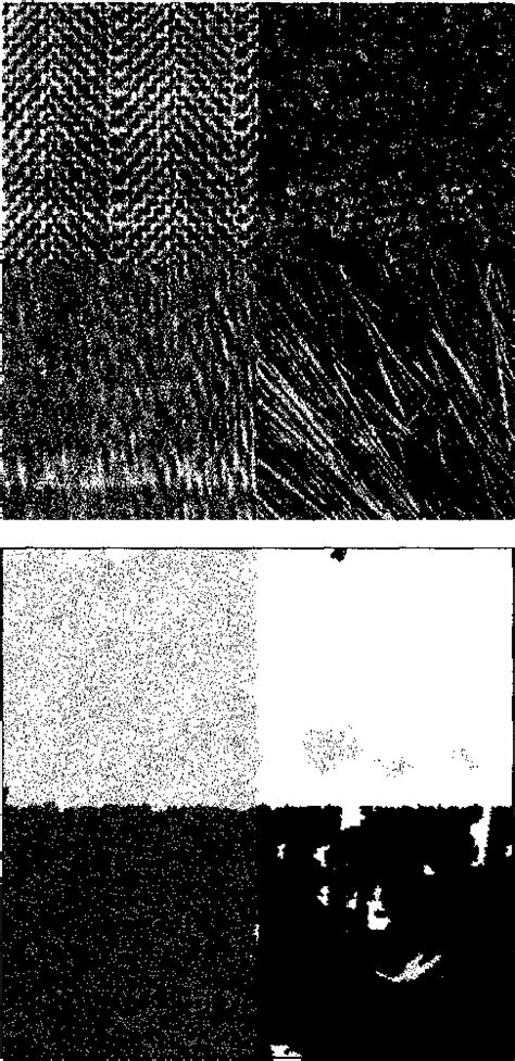 figure 2 from bayesian reconstruction and texture segmentation of sar