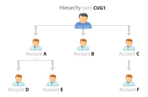 closed user groups cug in oracle brm